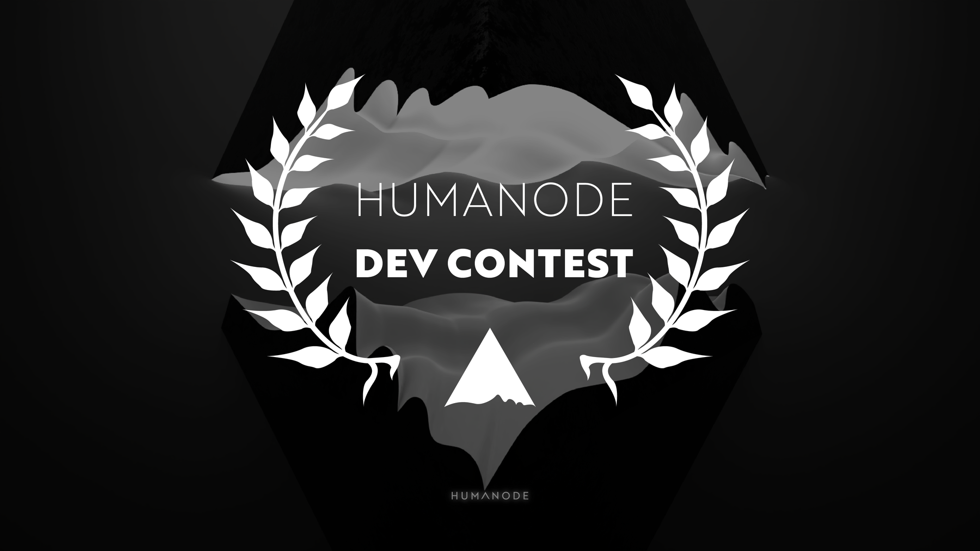 Competitive developer initiative program