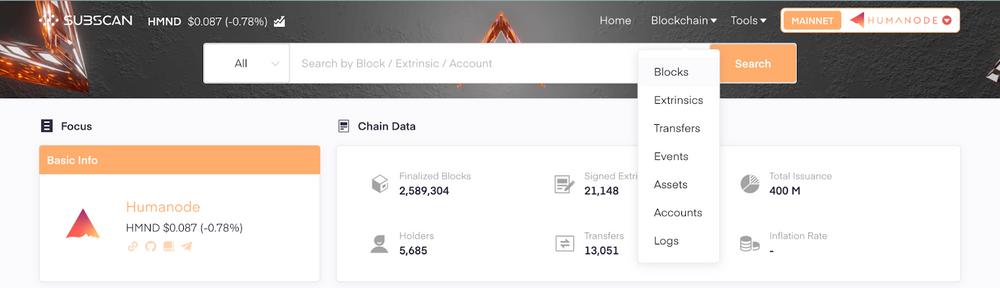Humanode Explorer by Subscan - How does it work