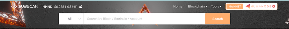 Humanode Explorer by Subscan - How does it work