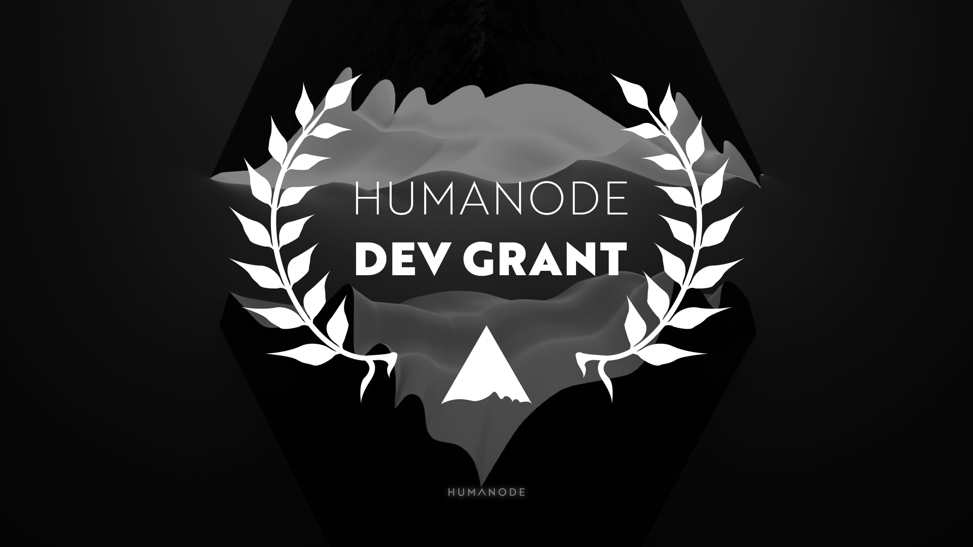 Competitive developer initiative program